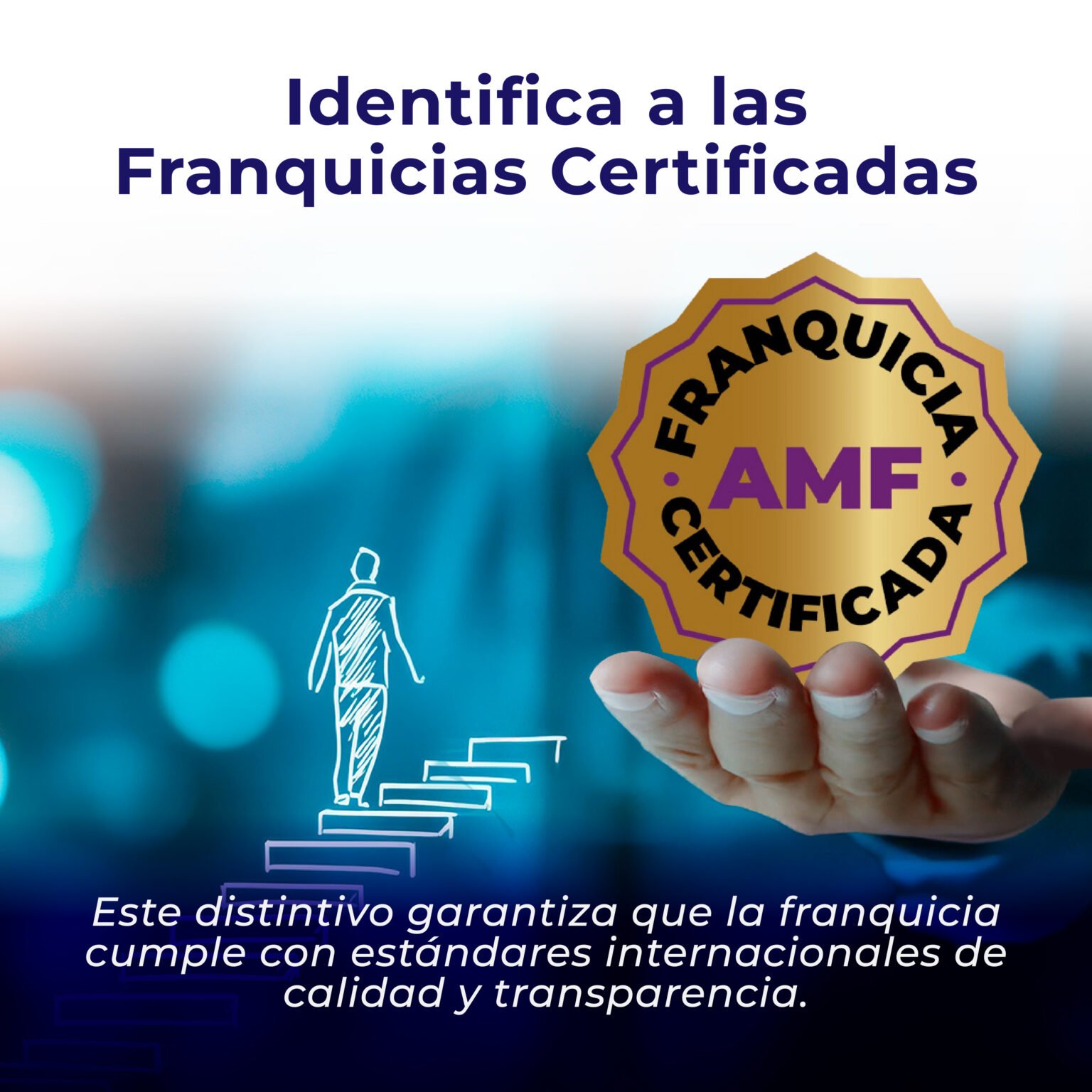 Certificación AMF ISO 17067: Sello de Calidad Global para las ...