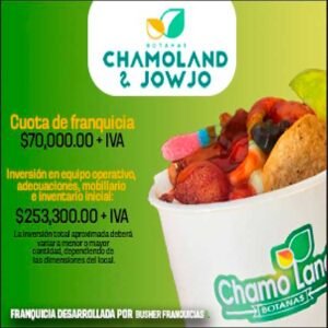 Asociación Mexicana de Franquicias - Asociación Mexicana de Franquicias